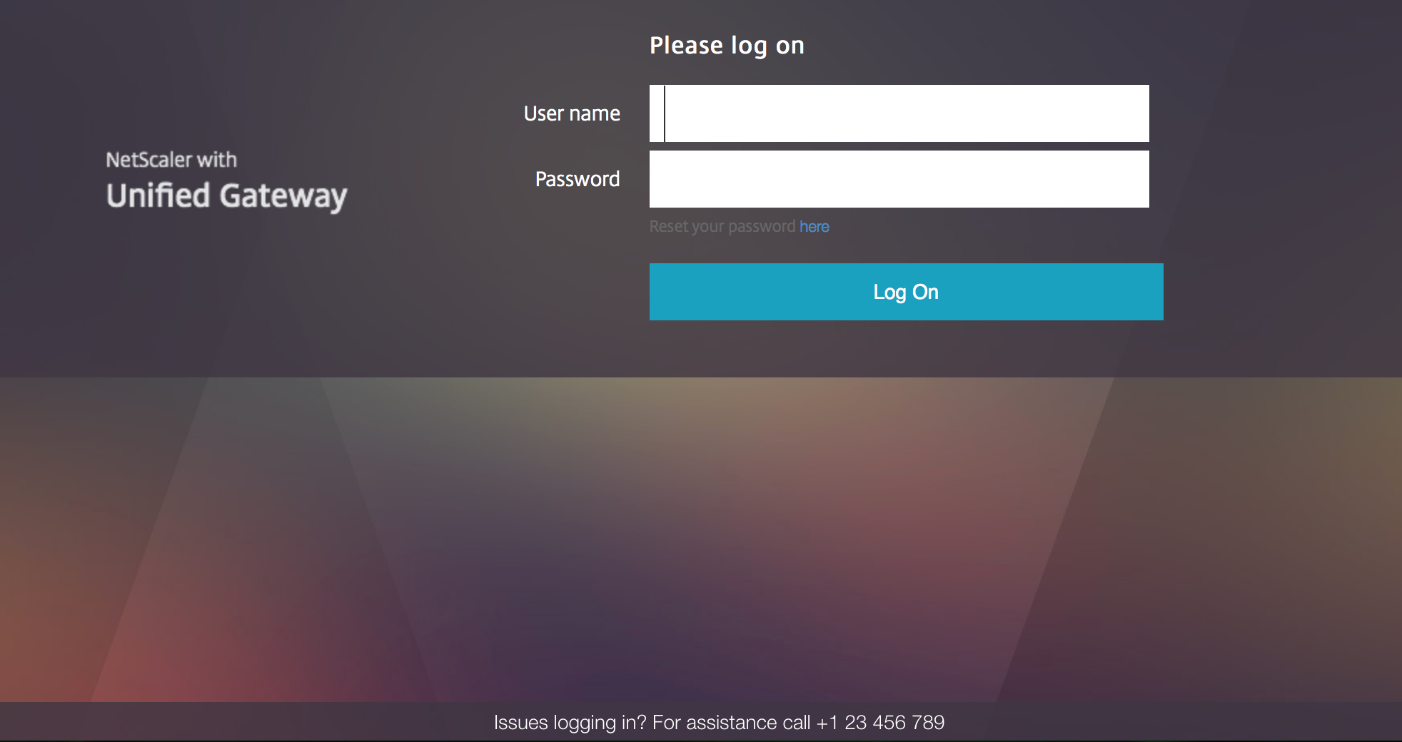 Advanced NetScaler Gateway 11 Customizations – NerdScaler